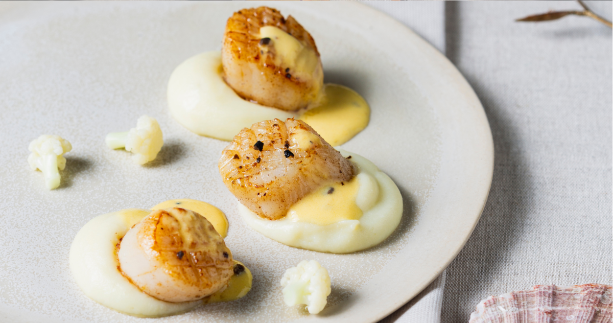 Seared Scallops with Scallop Beard Cream and Cauliflower Mousseline ...
